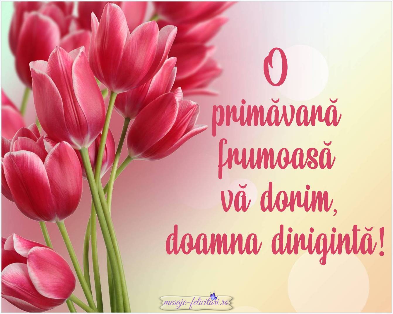 Mesaje Felicitari - Urare pentru doamna diriginta
